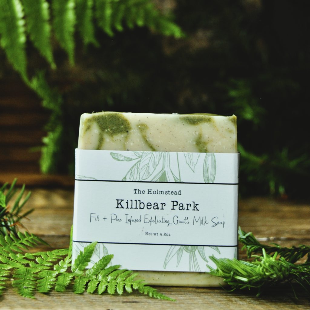 Killbear Park – The Holmstead